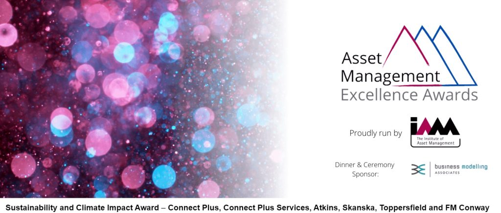 Winners at the The Institute of Asset Management Excellence Awards ...