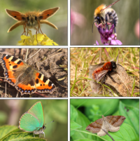 M25 ‘Stepping Stones’ - Connect Plus