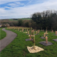 First trees planted at new community woodland in Kent - Connect Plus